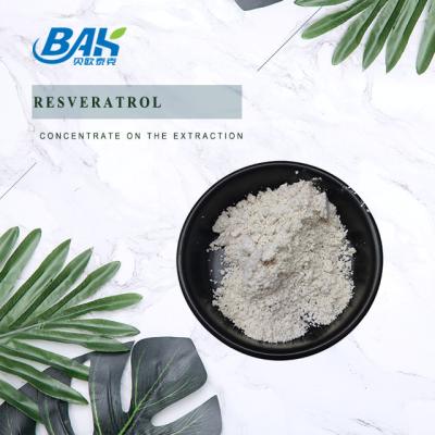 China Polygonum Cuspidatum-extract Resveratrolpoeder voor immuunverbetering Te koop