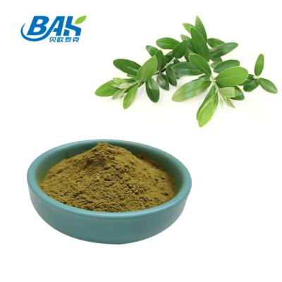Cina Polvere di foglie d'oliva Supplementi di potenziamento immunitario Oleuropeina 10% - 80% in vendita