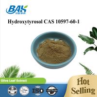 China Olive Leaf Extract Hydroxytyrosol 3%-50% HPLC Tested Antioxidant Supplement for sale