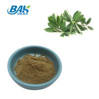 China Olive Leaf Extract Hydroxytyrosol 3%-50% HPLC Tested Antioxidant Supplement for sale