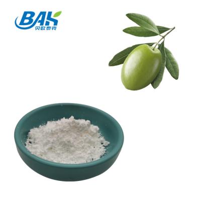 Cina Acido oleanolico 10% - 98% Supplementi di potenziamento immunitario Estratto di foglie d'oliva in vendita