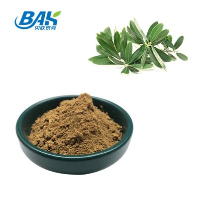 Cina Pressione sanguigna Antivirali Estratto di foglia di oliva Acido maslinico 10% - 40% in vendita