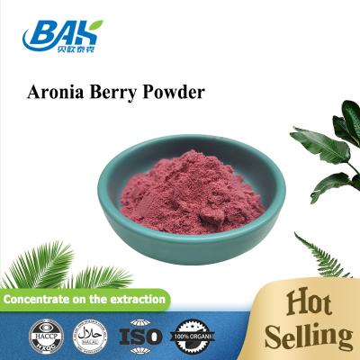 Cina 99% di frutta e verdura in polvere Black chokeberry in polvere solubile in acqua in vendita