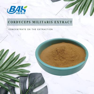 Cina Polisaccaridi di miglioramento immuni dell'estratto 10%-50% di Cordyceps Militaris in vendita