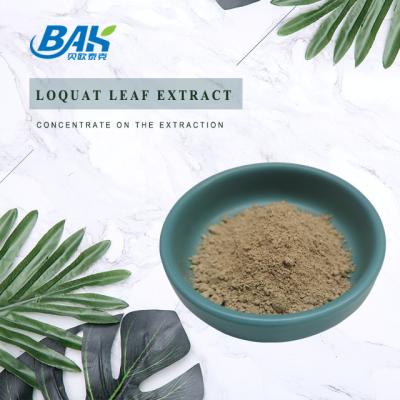 Cina SC Loquat Leaf Extract Weight Loss Supplement Powder in vendita