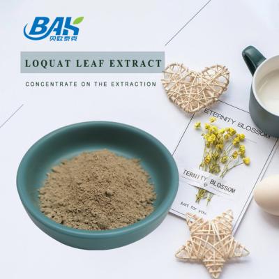 Cina SC Loquat Leaf Extract Weight Loss Supplement Powder in vendita