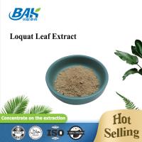 China Loquat Leaf Extract Corosolic Acid 1% HPLC Natural Plant Supplement Powder for sale