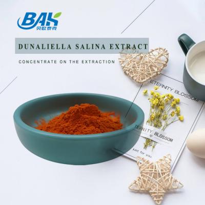 Cina Commestibile i supplementi di miglioramento immuni Dunaliella Salina Extract in vendita