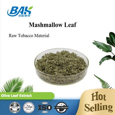 Cina Materiale naturale 3-5mm del tabacco greggio della foglia di 100% Mashmallow in vendita