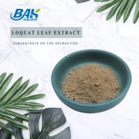 China Loquat Leaf Extract Corosolic Acid 1% HPLC Natural Plant Supplement Powder for sale