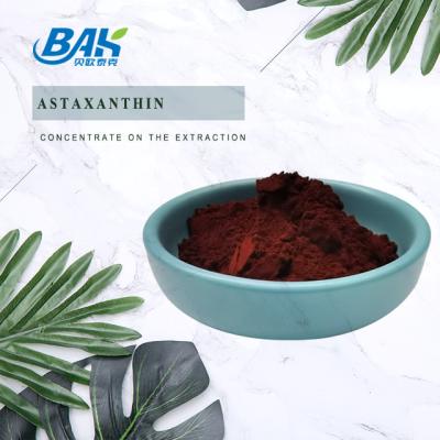 Cina Antiossidante Hematococcus Pluvialis Polvere di Astaxantina Naturale Pura in vendita