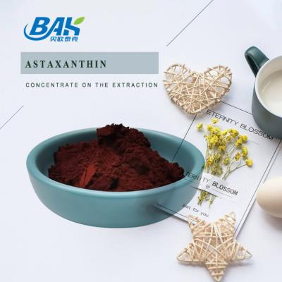 Cina Antiossidante Hematococcus Pluvialis Polvere di Astaxantina Naturale Pura in vendita