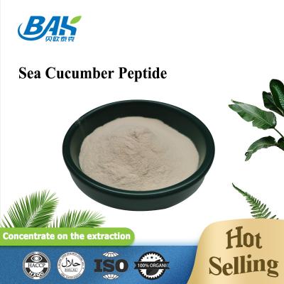 Cina Polvere della proteina del peptide dell'oloturia di HPLC 98% per pelle antinvecchiamento in vendita