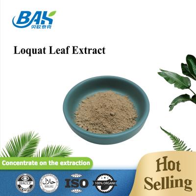 China O suplemento à perda de peso do extrato da folha do Loquat do SC pulveriza o ácido de Corosolic à venda
