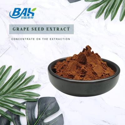 Cina L'estratto solvente del seme dell'uva di supplemento dell'estratto dell'antociano dell'acqua spolverizza bruno-rossastro in vendita