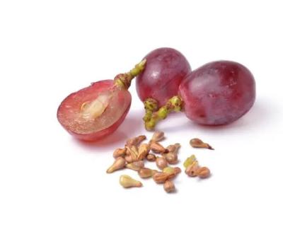 Cina L'estratto solvente del seme dell'uva di supplemento dell'estratto dell'antociano dell'acqua spolverizza bruno-rossastro in vendita