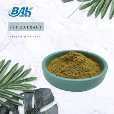 Cina Cinese Ivy Extract Hederacoside C dell'estratto di hedera helix in vendita