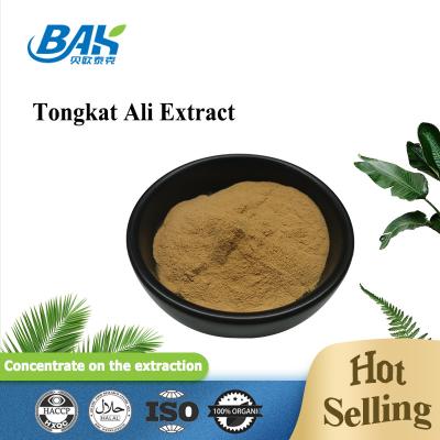 Cina Tongkat Ali Extract 100:1 200:1 Eurycomanone Powder 1% - 2% in vendita