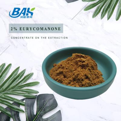 China O 200:1 Eurycomanone do 100:1 de Tongkat Ali Extract pulveriza 1% - 2% à venda