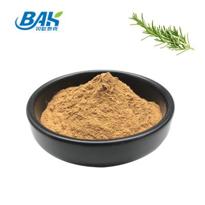 Cina supplementi di miglioramento immuni Rosemary Extract Powder Water Soluble di 98% - di 10% in vendita
