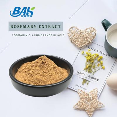 Cina supplementi di miglioramento immuni Rosemary Extract Powder Water Soluble di 98% - di 10% in vendita