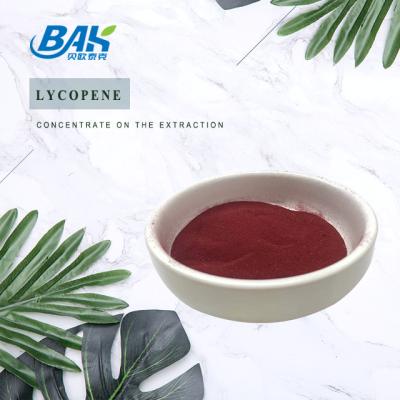 Cina Estratto di pomodoro Licopene Supplemento nutritivo in polvere antiossidante in vendita