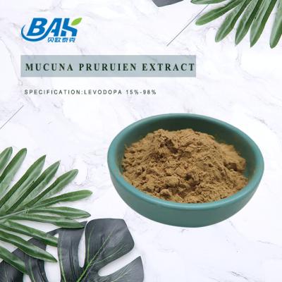 Cina 25% 98% Levodopa Additivi alimentari naturali Estratto di Mucuna Pruriens in vendita