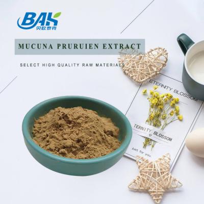 Cina 25% 98% Levodopa Additivi alimentari naturali Estratto di Mucuna Pruriens in vendita