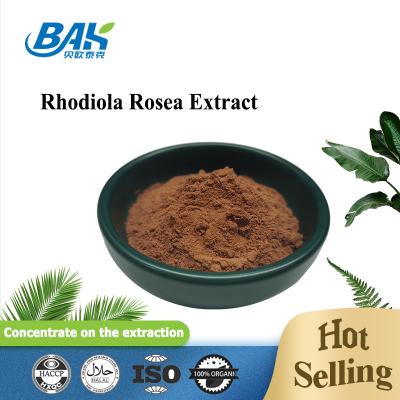 Cina Il rhodiola rosea estrae il supplemento Rhodioloside 3% della salute degli uomini in vendita