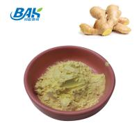 China Ginger Root Extract Powder 1% to 10% Gingerol Nutrient Supplement for Food and Health for sale