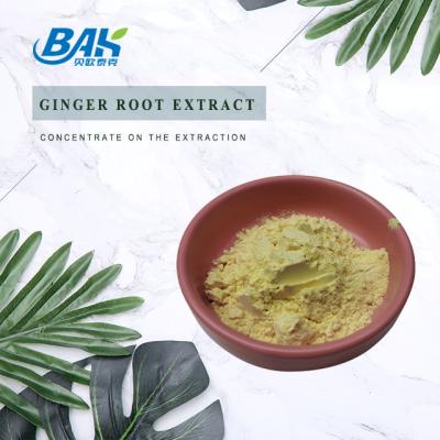 Cina Ginger Root Extract Nutrient Supplement spolverizza la polvere di 10% - di 1% Gingerol in vendita