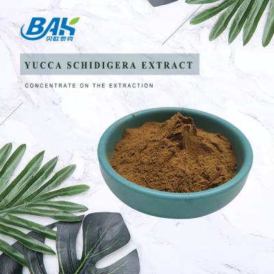 Cina Il supplemento nutriente dell'estratto di Schidigera dell'yucca spolverizza 30% - 60% Sarsaponin in vendita