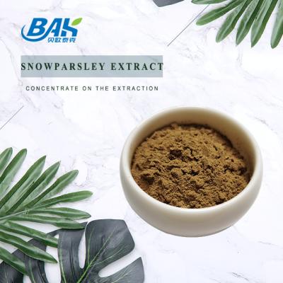 中国 Nutraceuticals Cnidium MonnieriのエキスのSnowparsleyのエキス20% 販売のため