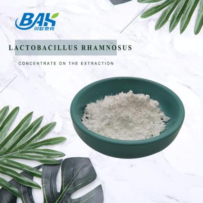China BAK Natural Food Additives Lactobacillus Rhamnosus Powder à venda