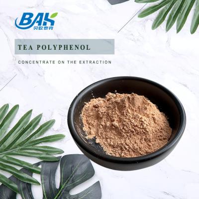 Cina Tea Polyphenol Powder 98% Green Tea Extract Natural Food Additives Antioxidant in vendita