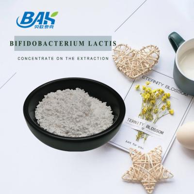 Cina Gli additivi alimentari naturali del latte di Bifidobacterium spolverizzano 100B/200B CFU/g in vendita