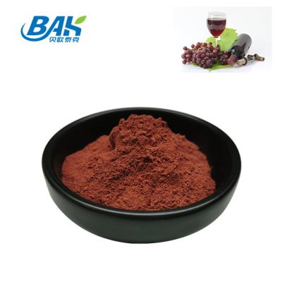Cina Red Wine Extract Nutrient Supplement Powder 30% - 50% Polyphenols Powder in vendita