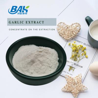 Cina Garlic Extract 1% - 5% Allicin Powder Immune Enhancing Supplements Antibacterial in vendita