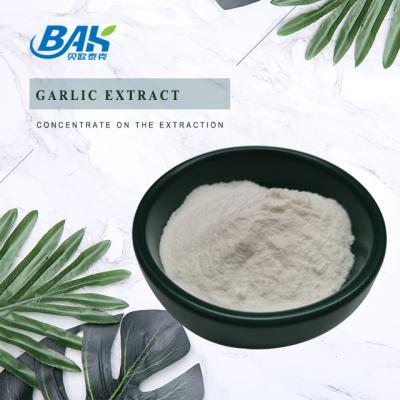 Cina Garlic Extract 1% - 5% Allicin Powder Immune Enhancing Supplements Antibacterial in vendita