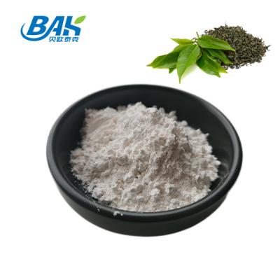 Cina 3081-61-6 Green Tea Extract Powder Theanine 98% Natural Herbal Extract For Healthy Diet in vendita