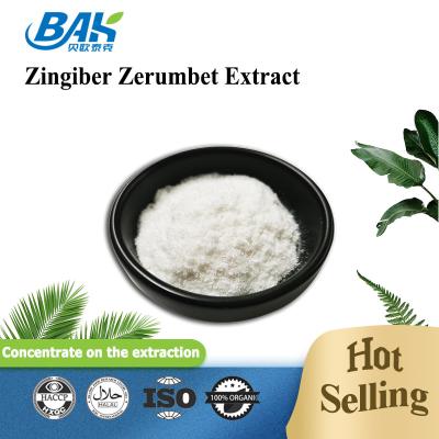 Cina Plant Extract Powder Zingiber Zerumbet Extract Zerumbone 98% HPLC in vendita