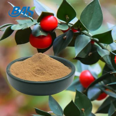 Cina Plant Extract Powder Ruscogenin10% Butcher Broom Extract in vendita