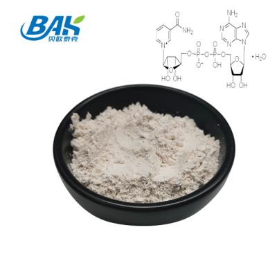 Cina BAK Anti-Aging CAS 53-84-9 Nicotinamide Adenine Dinucleotide in vendita