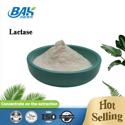 中国 Food Grade Lactase Powder Natural Food Additives 100000 ALU/G 販売のため
