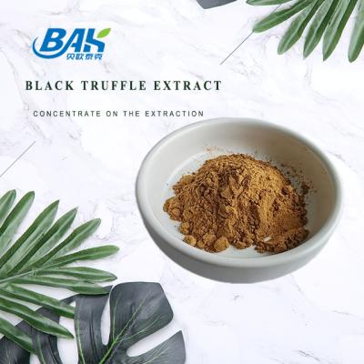 China Plantenextract Poeder Zwarte truffel extract Te koop
