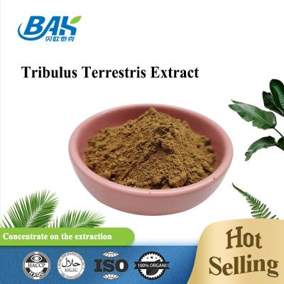 中国 Halal Mens Health Supplement Tribulus Terrestris Extract Powder 販売のため