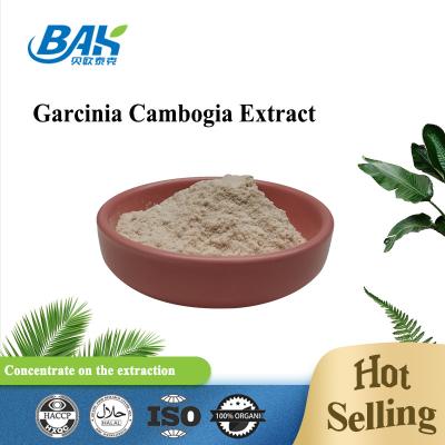 China pó do extrato de Combogia do Garcinia do pó do suplemento à perda de peso de 50% 60% à venda