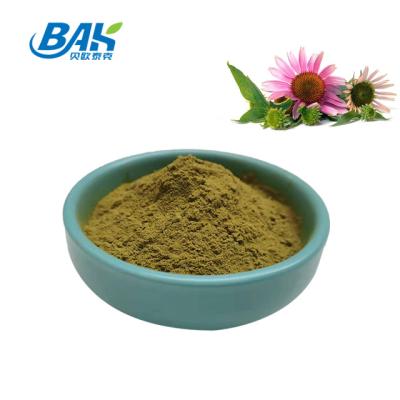 Cina I supplementi di miglioramento immuni dell'estratto halal dell'echinacea spolverizzano la maglia del passaggio 80 di 100% in vendita
