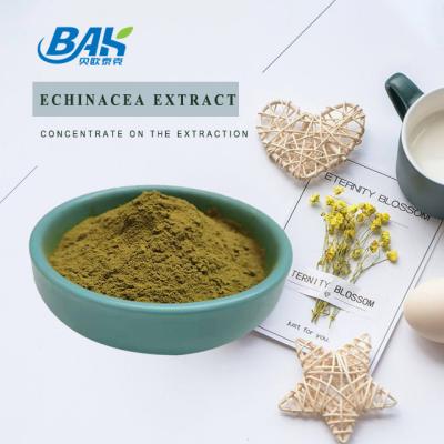 Cina I supplementi di miglioramento immuni dell'estratto halal dell'echinacea spolverizzano la maglia del passaggio 80 di 100% in vendita