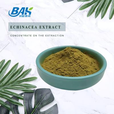 Cina I supplementi di miglioramento immuni dell'estratto halal dell'echinacea spolverizzano la maglia del passaggio 80 di 100% in vendita